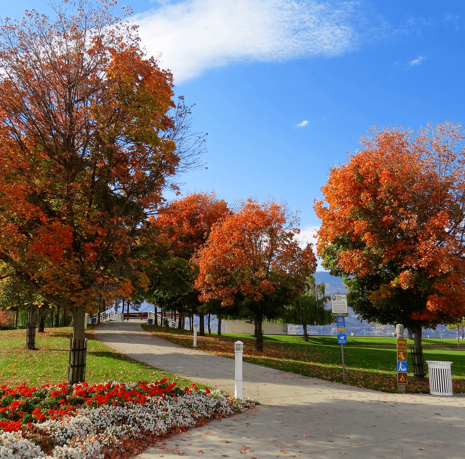 Effective Municipal Park Suggestions | Picnic Table Supplier